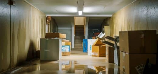 Humidité dans la cave : solutions pour assainir et assècher une cave humide